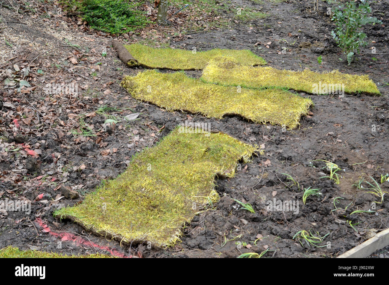 turf being laid on new ground Stock Photo - Alamy