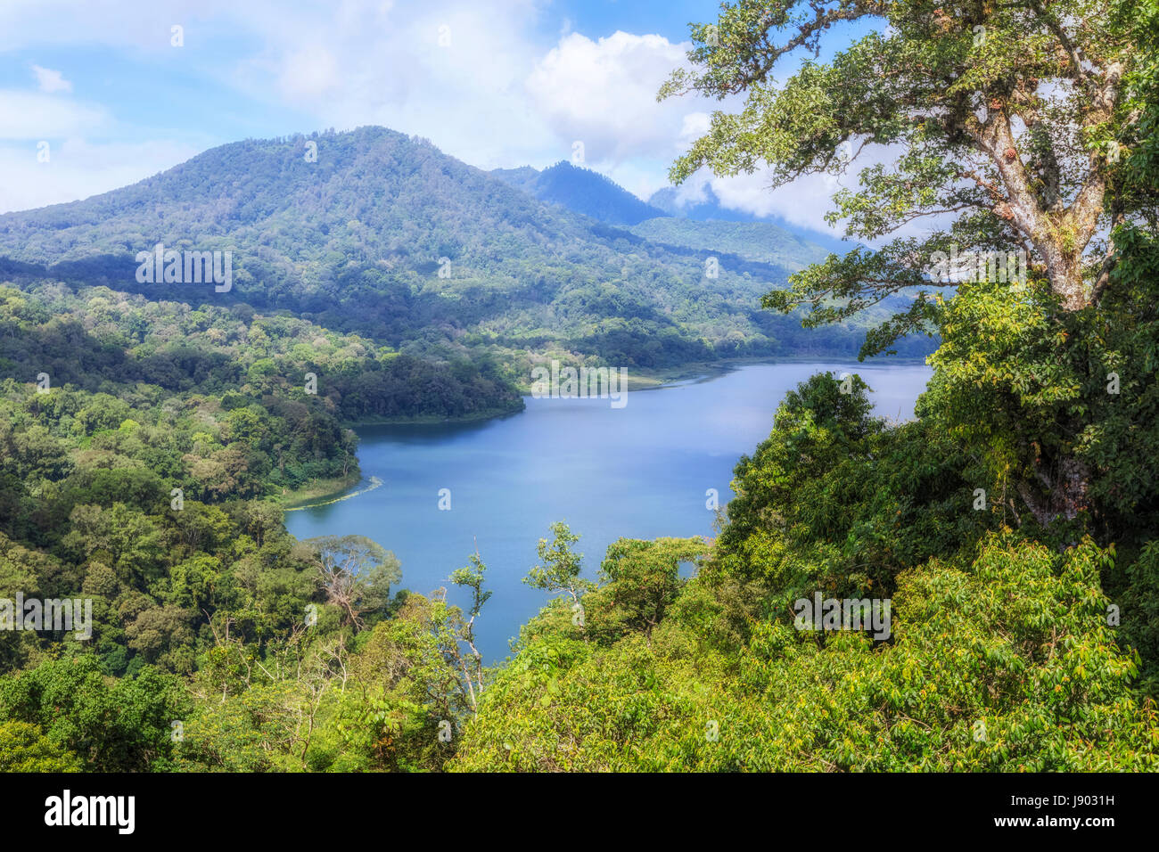 Lake Tamblingan, Bali, Indonesia Stock Photo - Alamy