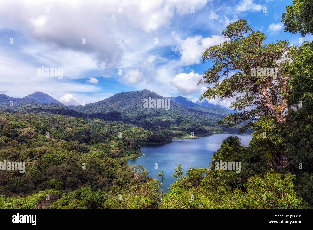 Lake Tamblingan, Bali, Indonesia Stock Photo - Alamy