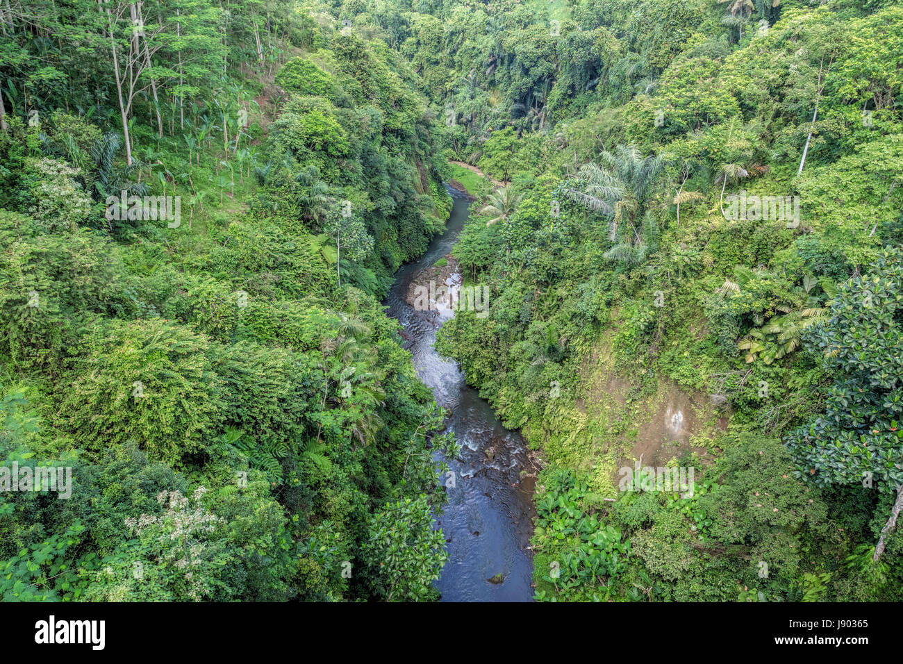 Tanah Wuk bridge, Sangeh, Abiansemal, Badung, Bali, Indonesia, Asia ...
