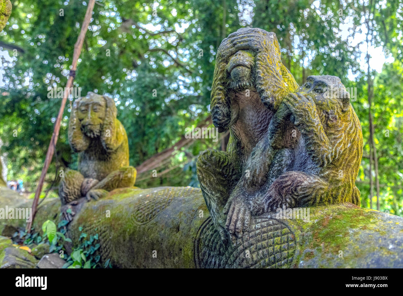 Monkey Forest, Ubud, Bali, Indonesia, Asia Stock Photo - Alamy