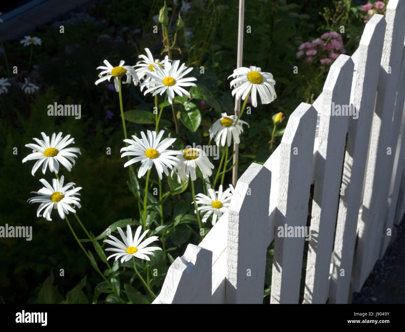Molde garden in molde hi-res stock photography and images - Alamy Molde garden in molde hi-res stock photography and images - Alamy