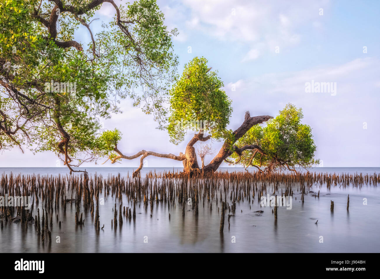 Java Sea Stock Photos & Java Sea Stock Images - Alamy