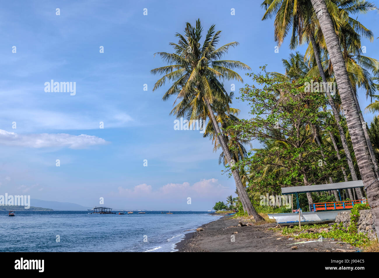 Coconut beach, Ketapang, Java, Indonesia, Asia Stock Photo - Alamy