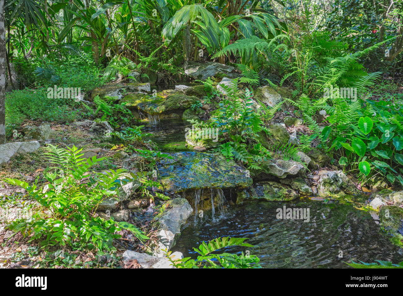 Water feature garden hi-res stock photography and images - Alamy