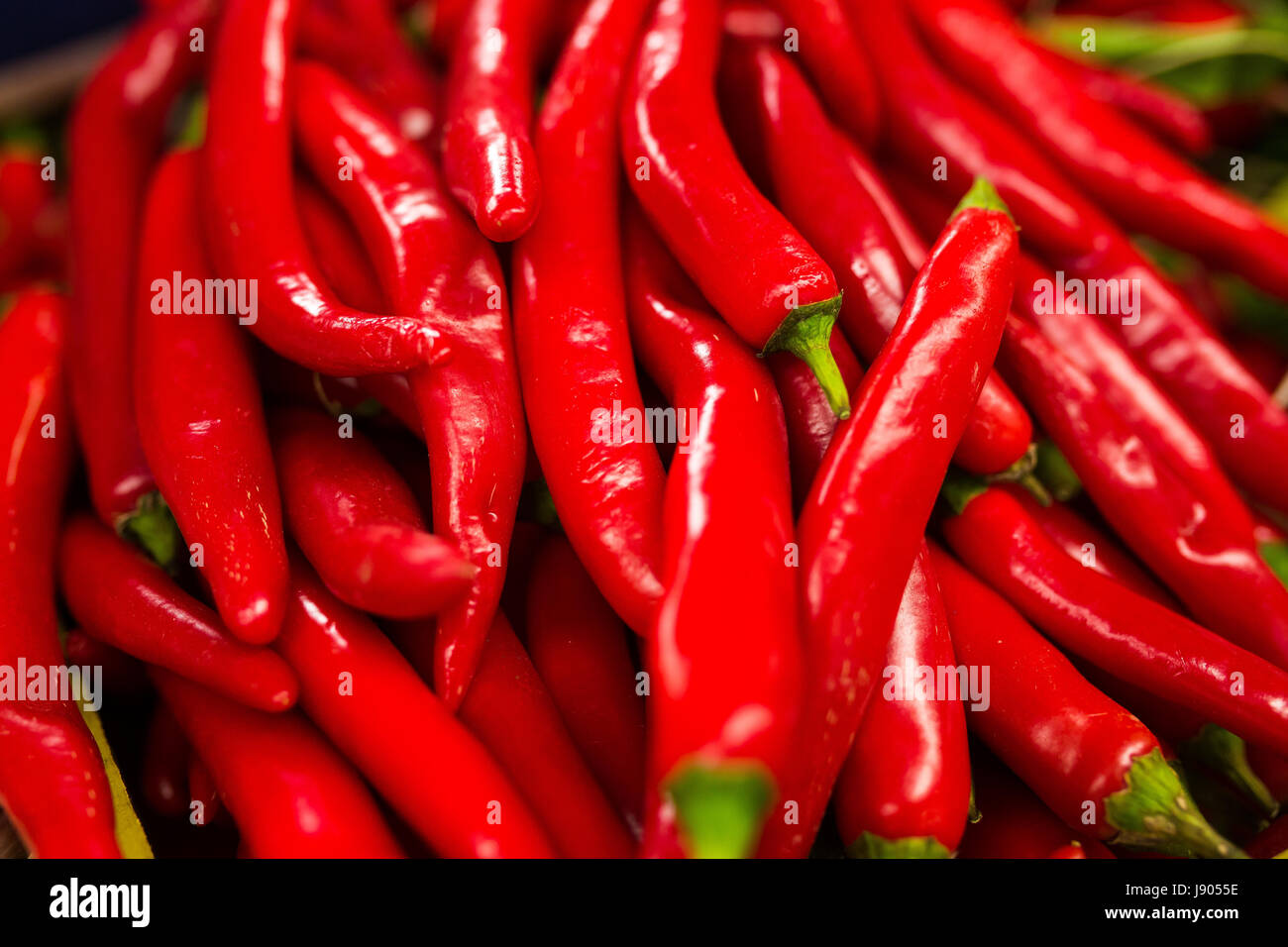Row of shiny red chili pepper on the counter Stock Photo - Alamy