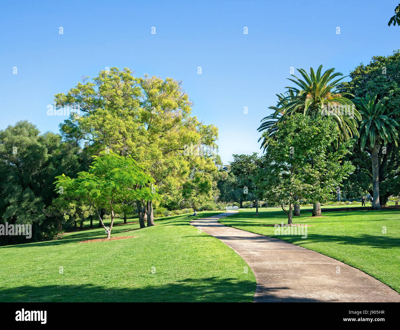 Kings Park Perth Stock Photo - Alamy