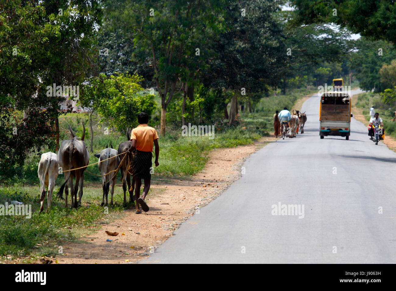 India rural road transport hi-res stock photography and images - Alamy