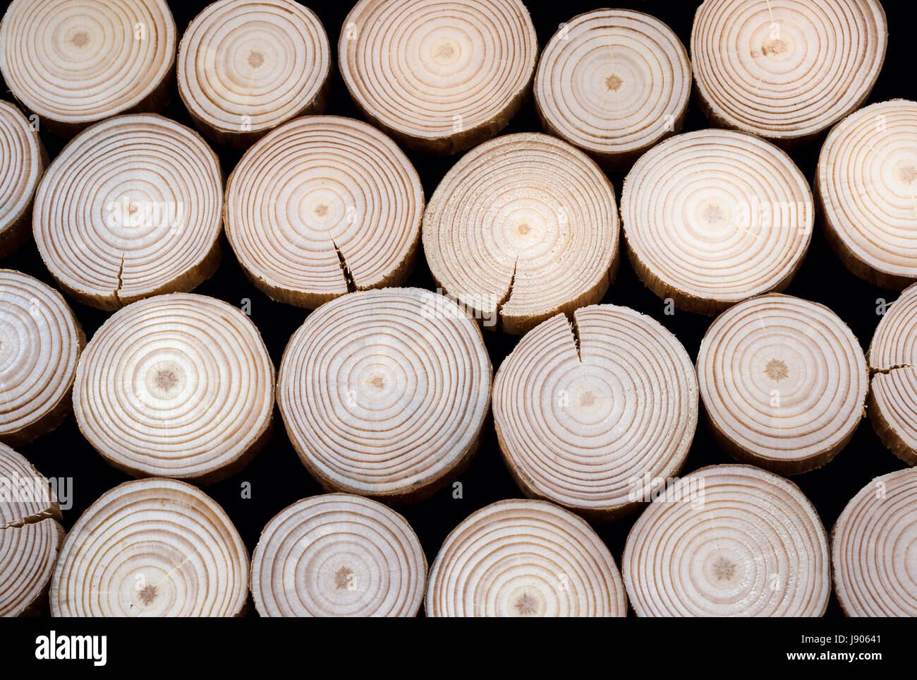 Transverse section tree hi-res stock photography and images - Alamy