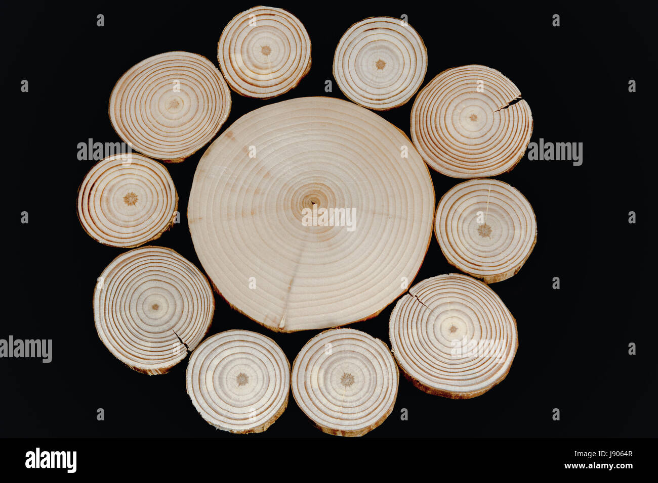 Circular pattern from transverse wooden saw cuts on black background ...