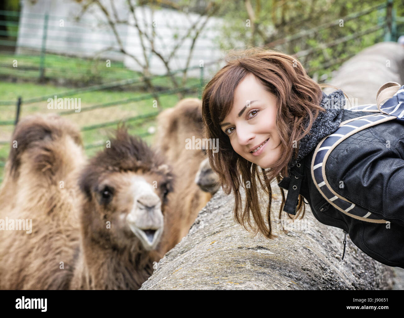 Young cacasian woman posing with bactrian camel in zoo. People and ...