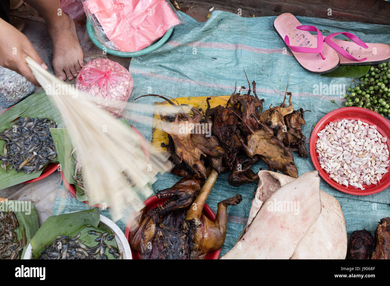Roasted rats sold inmarket in Luang Prabang, Laos Stock Photo - Alamy