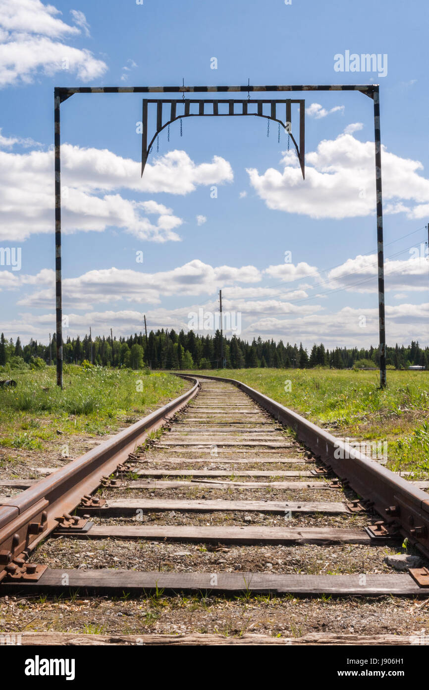 Railroad tracks going into the distance towards the forest in summer ...