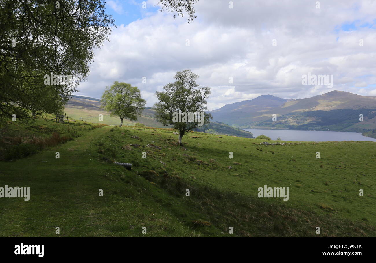 Rob Roy Way and Loch Tay Scotland May 2017 Stock Photo - Alamy