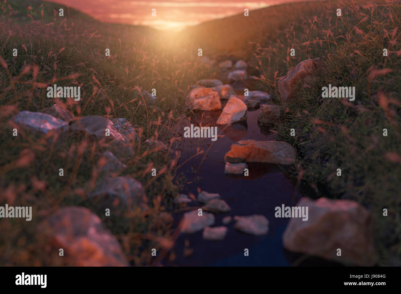 3d rendering of calm stream at grassland in front of beautiful sunset ...