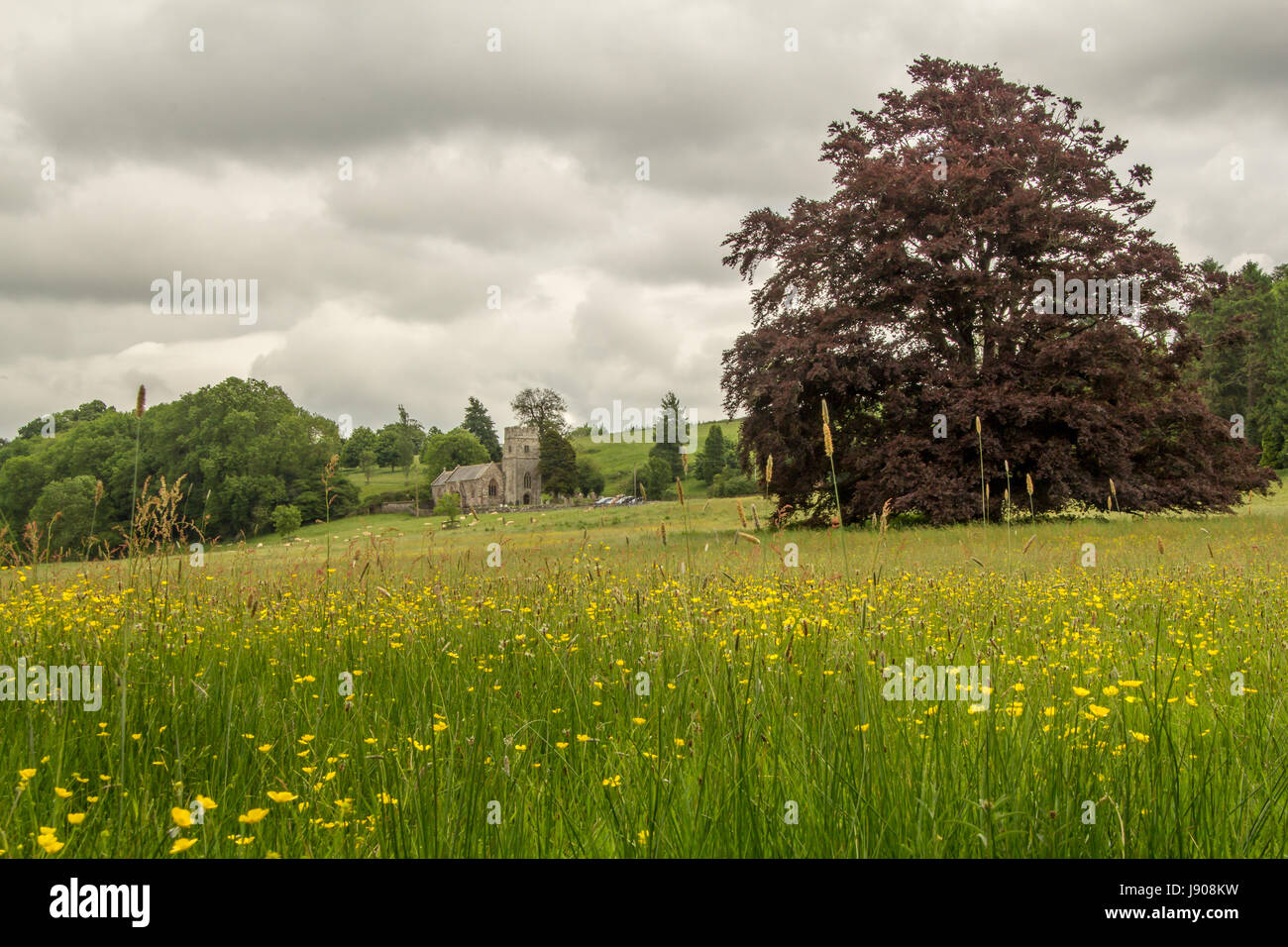 The river Taw as it flows through Eggesford in Devon England Stock ...