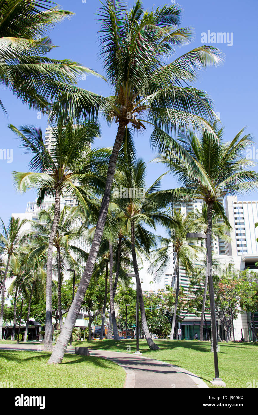 The public park in Waikiki resort district in the city of Honolulu ...