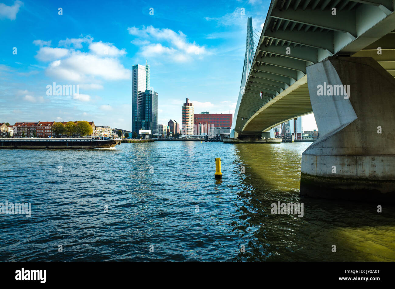 Erasmus Bridge Erasmusbrug in Rotterdam, Netherlands Stock Photo - Alamy
