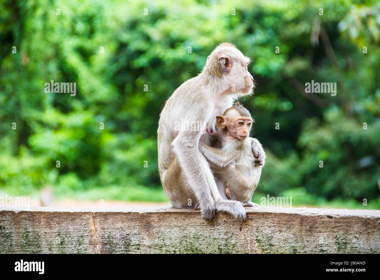 Young kid eating apple hi-res stock photography and images - Alamy