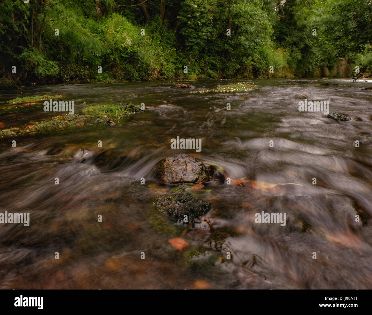 Wild trout stream Stock Photo - Alamy