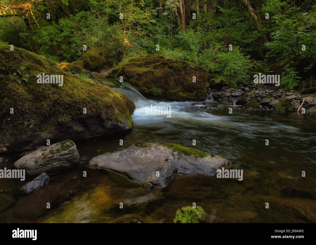 Wild trout stream Stock Photo - Alamy