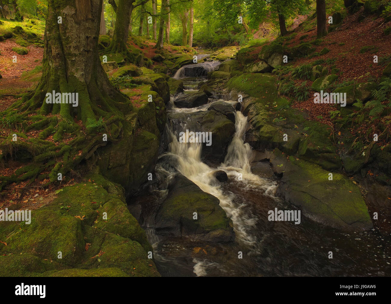 Cloughleagh streams, Co. Wicklow, Ireland Stock Photo - Alamy