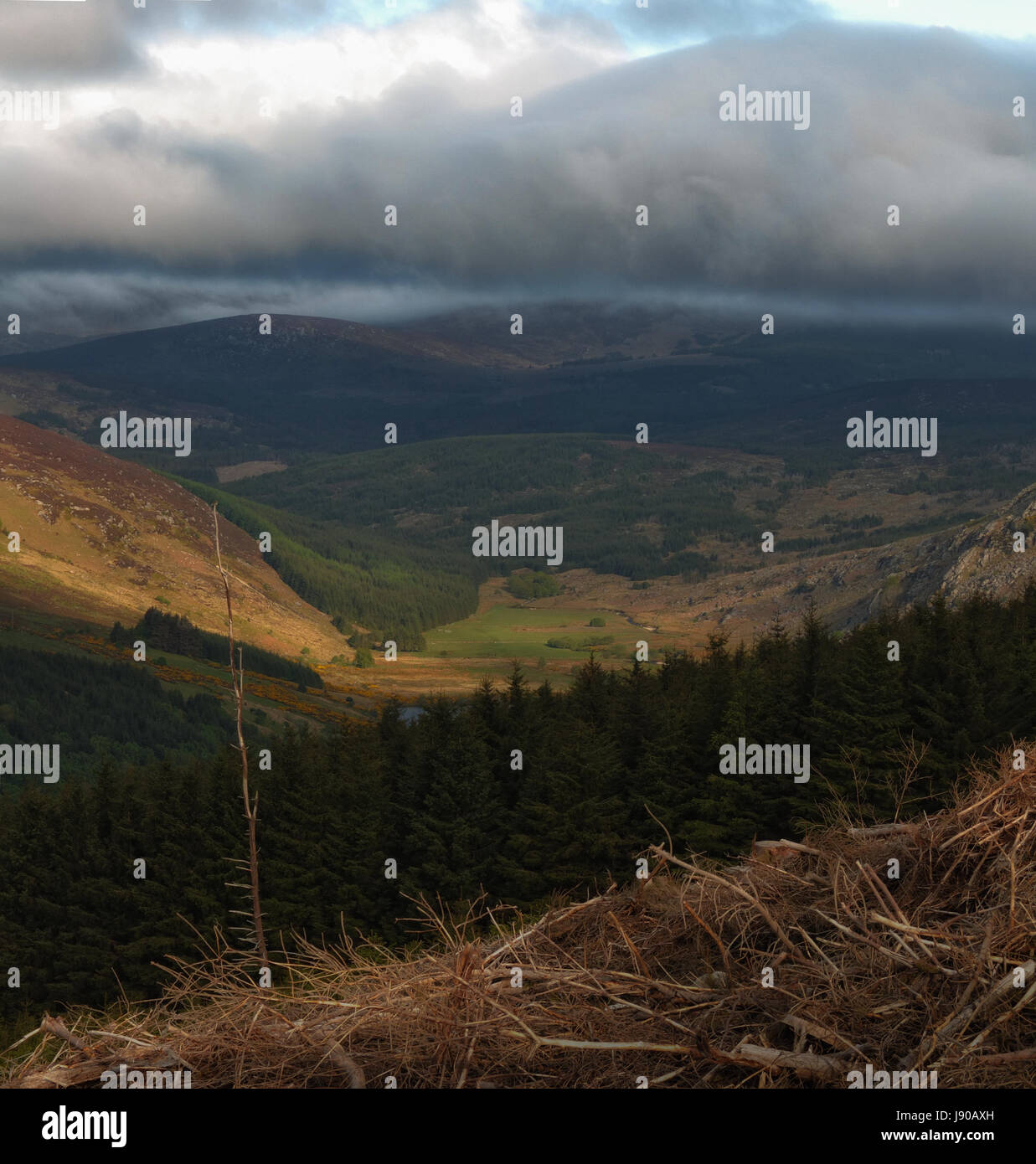 Wicklow east coast ireland hi-res stock photography and images - Alamy