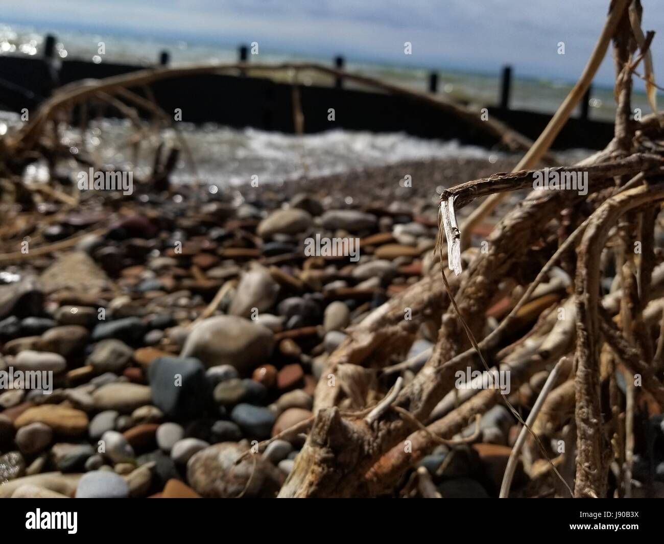 Messy branches hi-res stock photography and images - Alamy