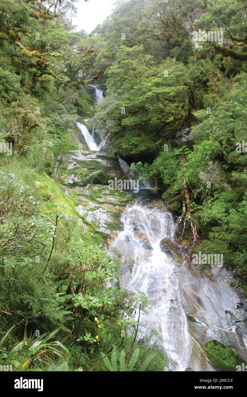 Waterfalls seen through bush, on the Milford track, Fiordland, New ...