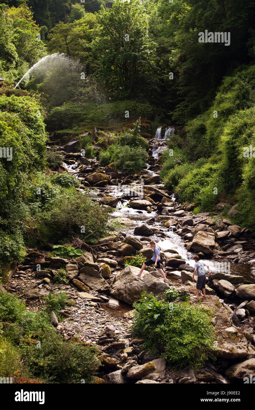 The Glen Lyn Gorge, West Lyn River, Lynmouth, Devon Stock Photo - Alamy