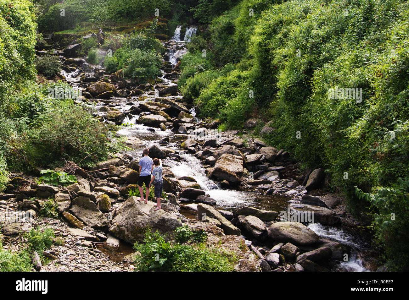 Lyn gorge hi-res stock photography and images - Alamy