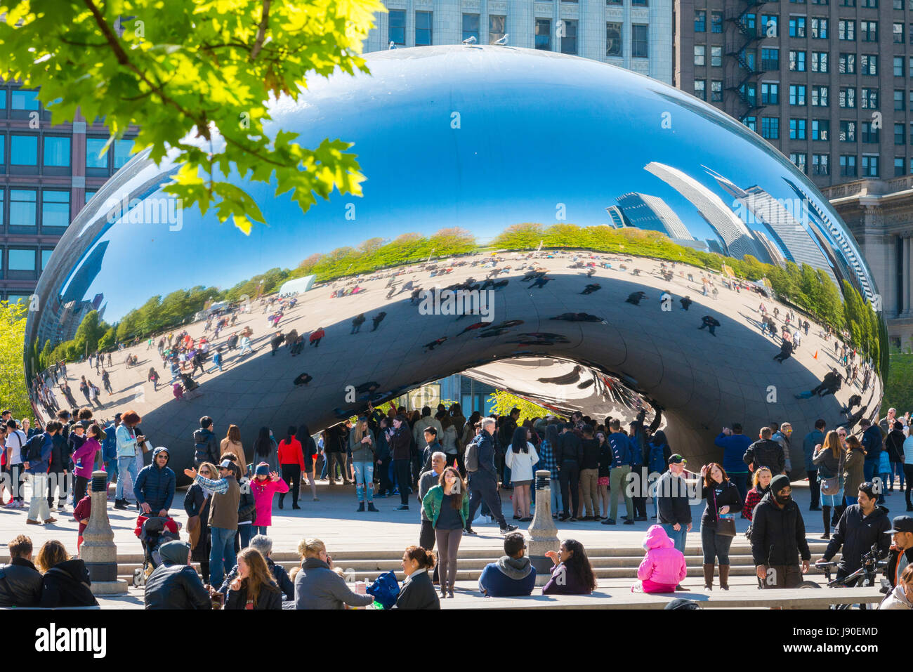 Reflective bean hi-res stock photography and images - Alamy