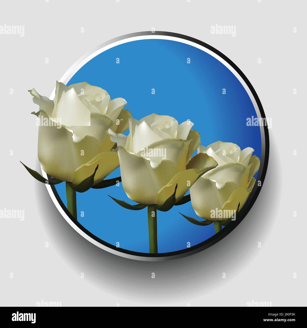 3D Illustration of a Trio of White Ivory Roses Over Blue Metallic ...