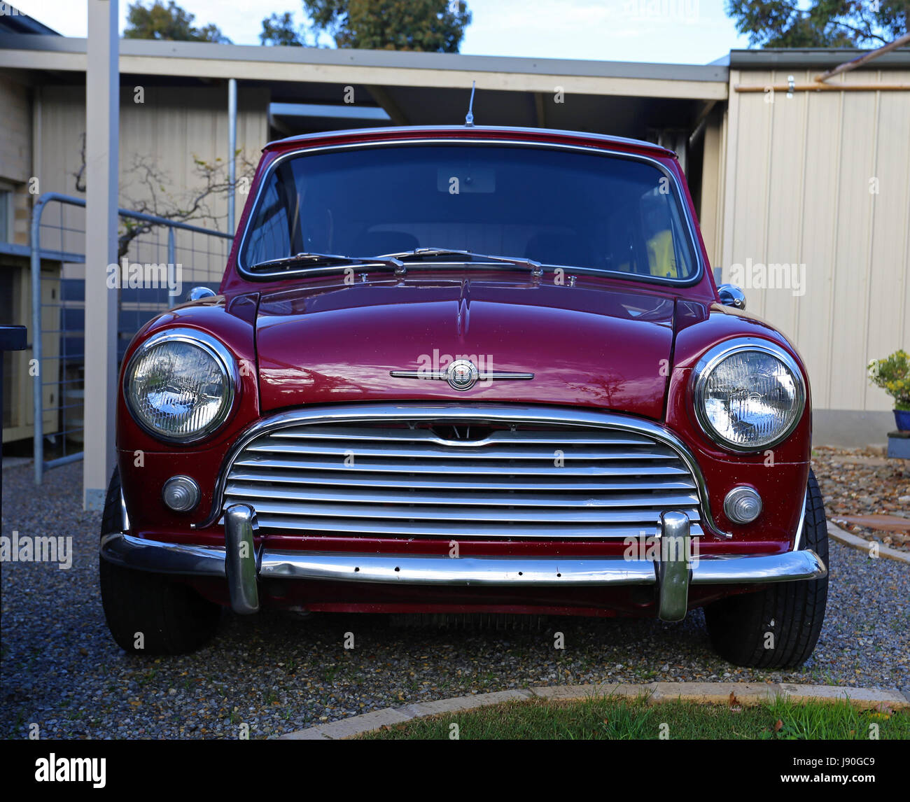 The purple 1963 Morris mini Stock Photo - Alamy