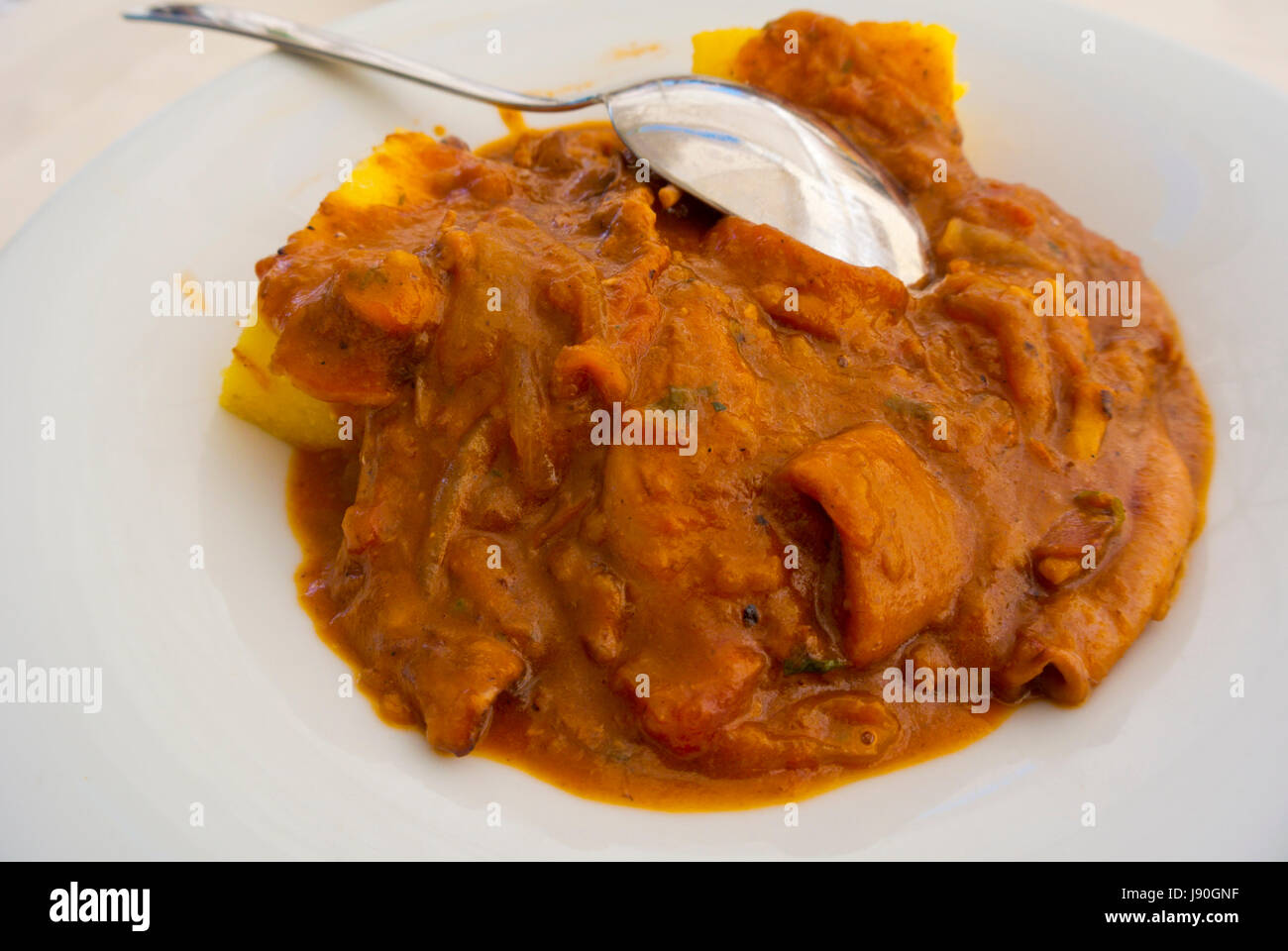 Brudet od lignji, stew with squid, Makarska, Dalmatia, Croatia Stock ...