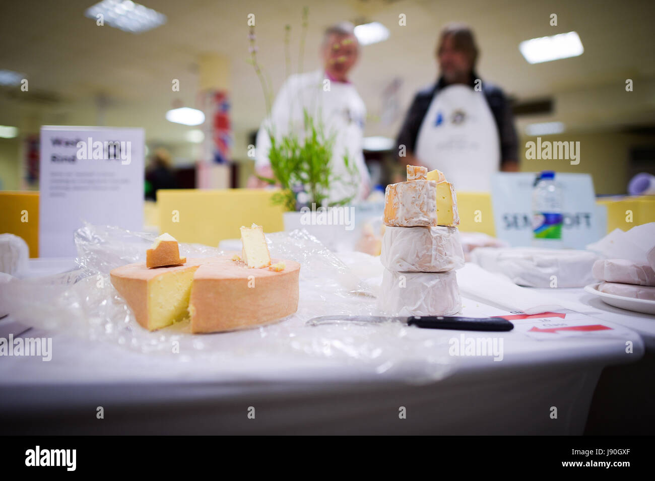 Cheeses in the washed rind class are left after tasting and judging ...