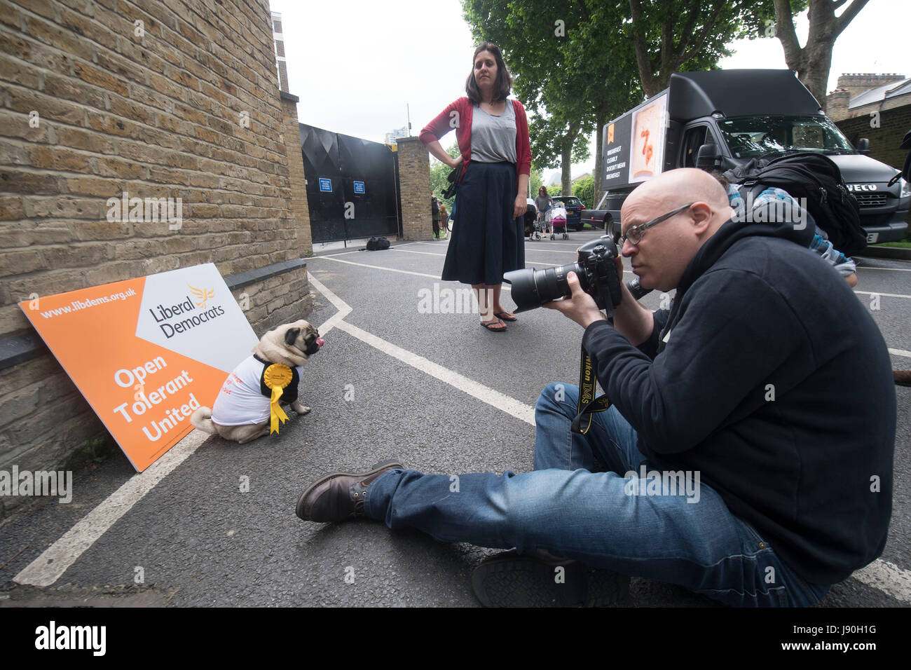 Photographers take pictures of a Pug dog called Nelson, following the ...