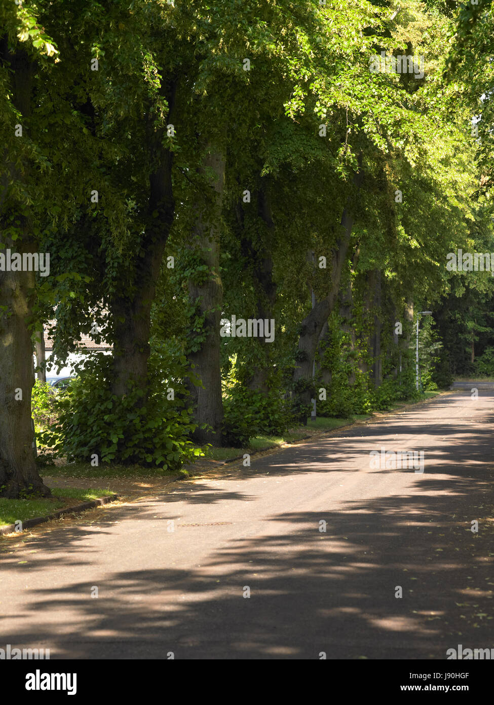 Woodlands avenue hi-res stock photography and images - Alamy