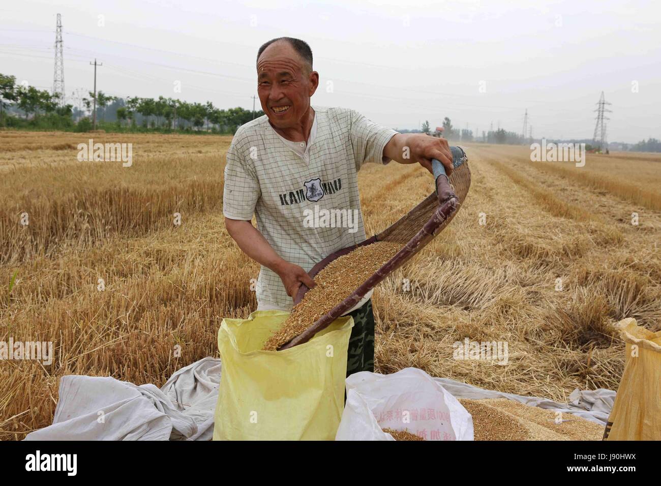 Bengbu, China's Anhui Province. 30th May, 2017. A villager collects ...