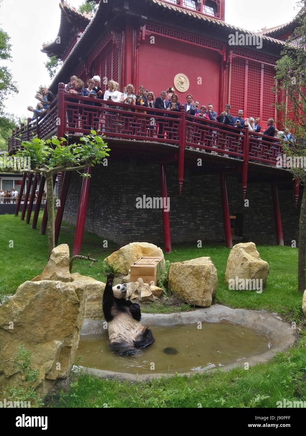 Rhenen, Netherlands. 30th May, 2017. Visitors watch giant panda Xing Ya ...