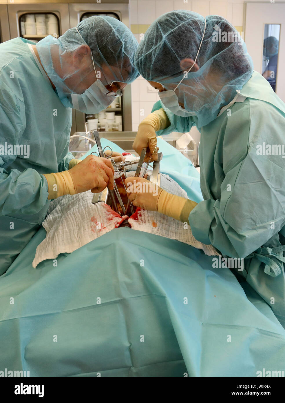 Human tissue bank hi-res stock photography and images - Alamy