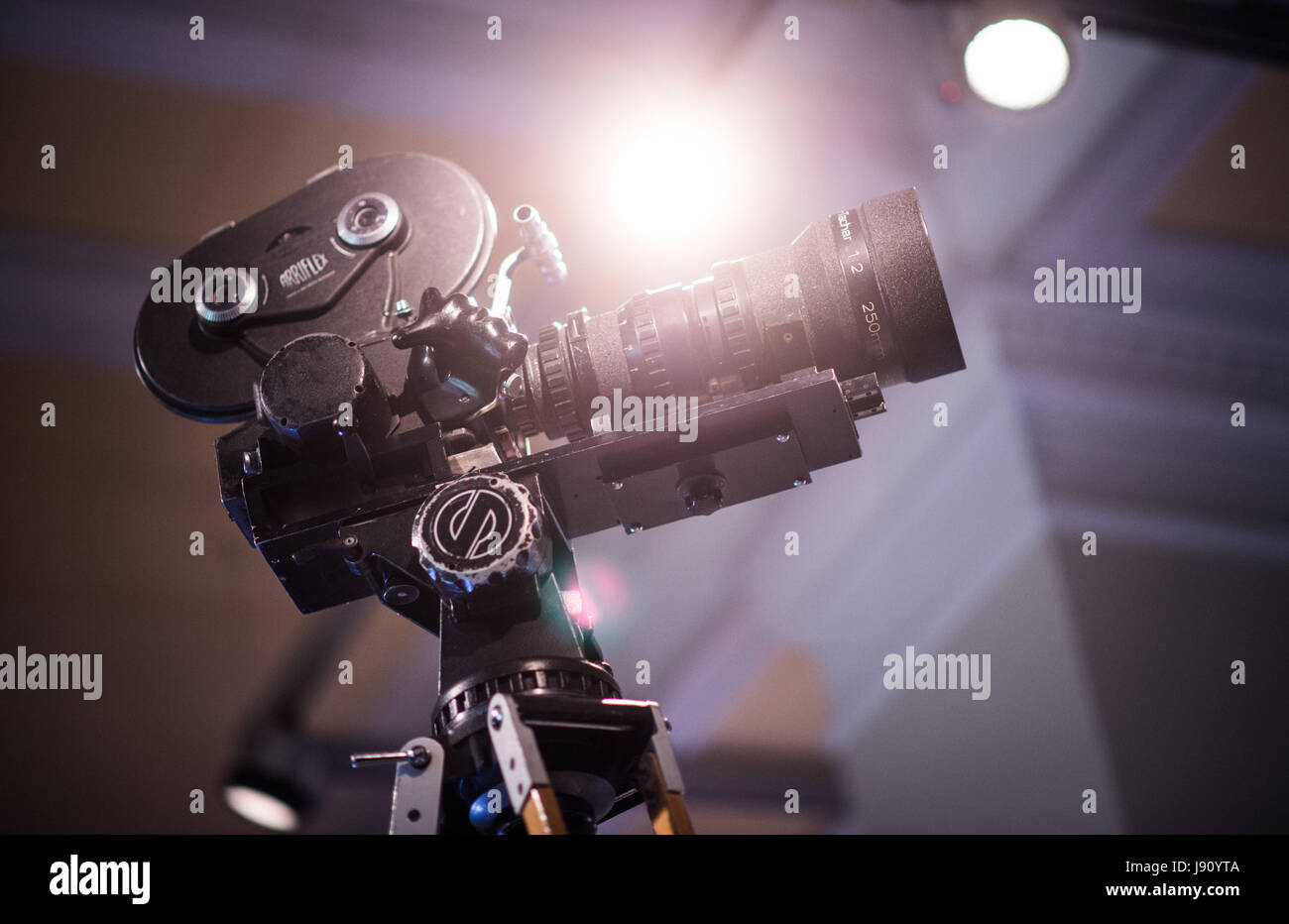 Wildlife cameraman museum hi-res stock photography and images - Alamy