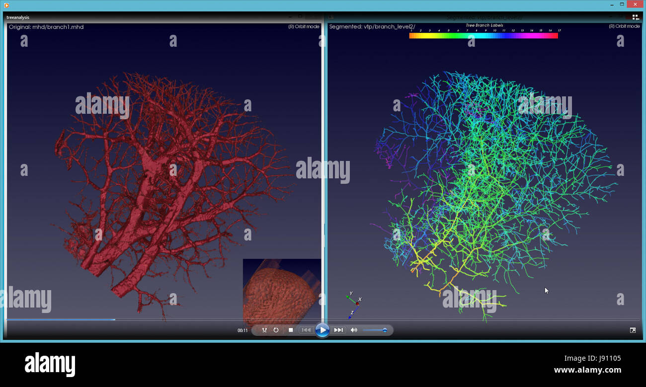 (170531) -- CANBERRA, May 31, 2017 (Xinhua) -- Image provided by CSIRO ...