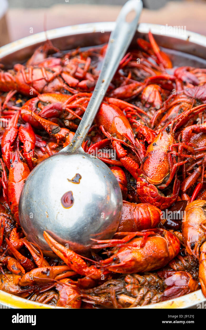 Crawdad hi-res stock photography and images - Alamy