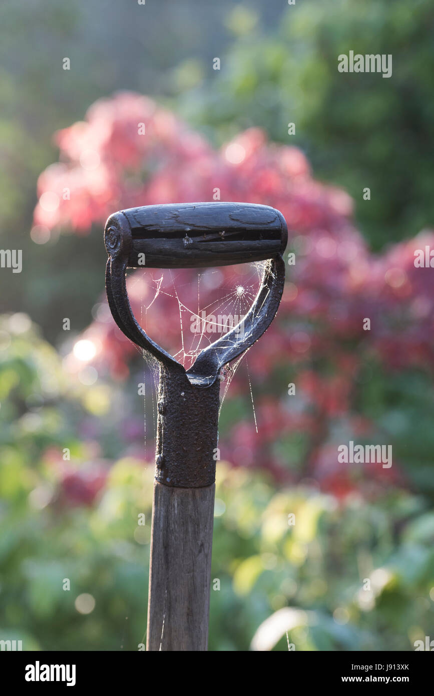 Old garden spade handle in the early morning mist. UK Stock Photo - Alamy