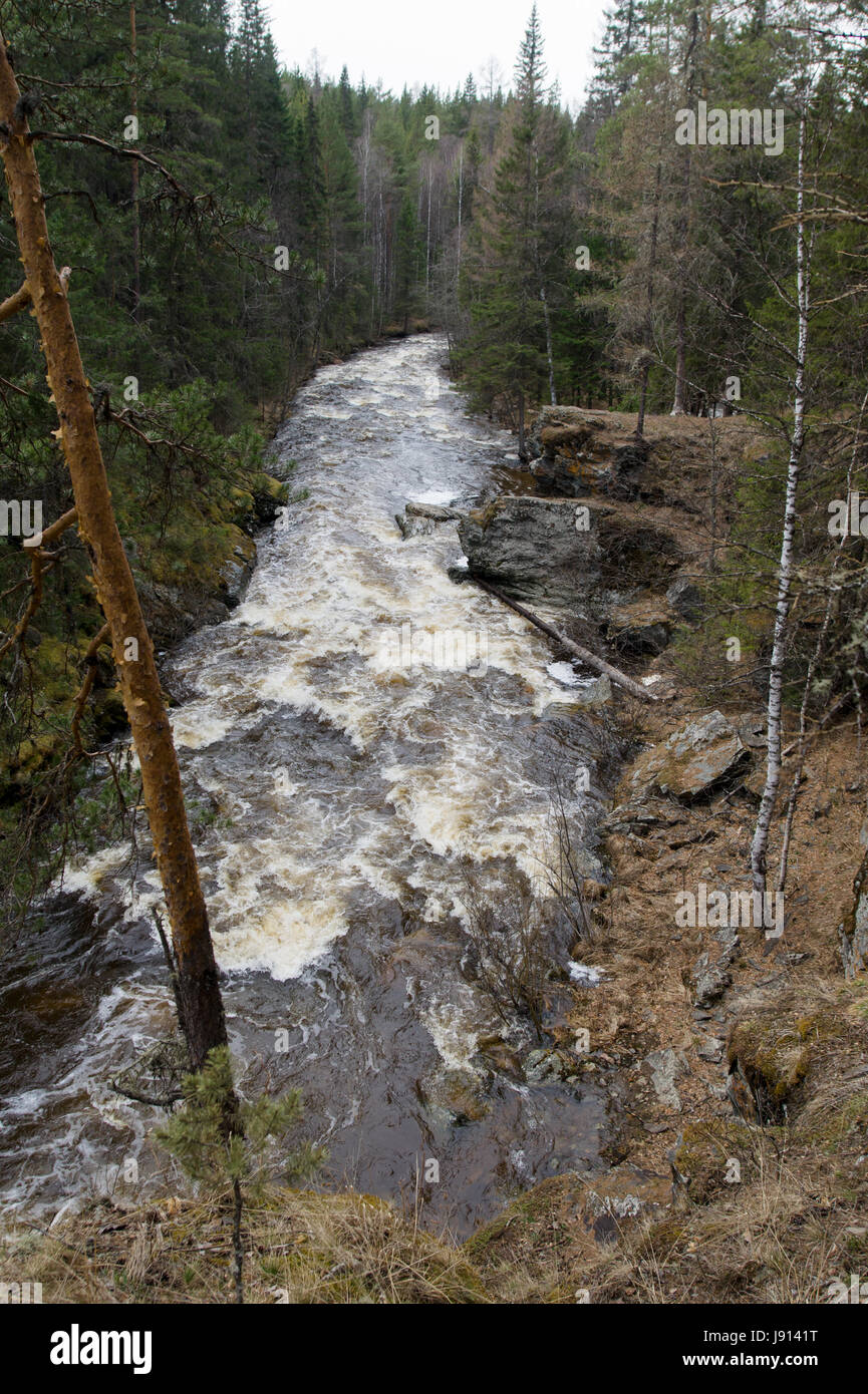 A rough mountain river flows in a forest gorge Stock Photo - Alamy