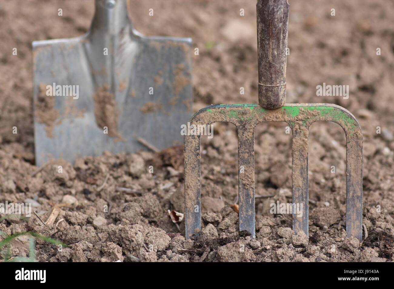 Spading fork hi-res stock photography and images - Alamy