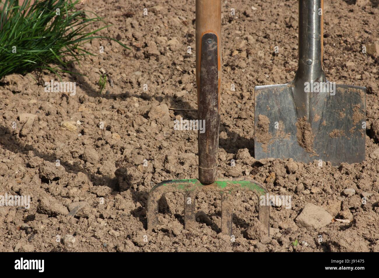 Spading fork hi-res stock photography and images - Alamy