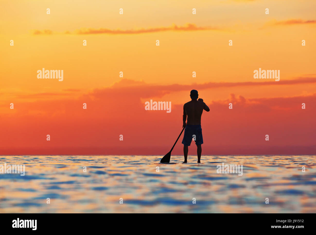 Paddle boarder. Black sunset silhouette of young sportsman paddling on ...