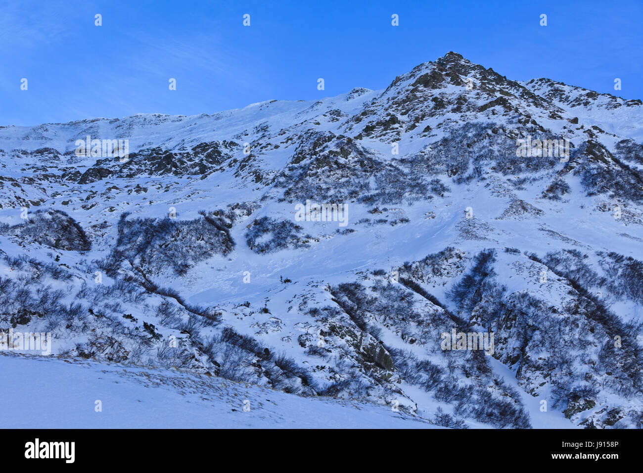 winter, cold, snow, coke, cocaine, material, drug, anaesthetic ...